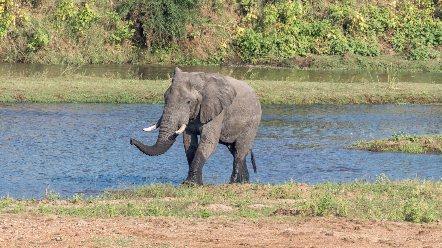 Letaba Rest Camp: Serenity & Adventure in Kruger Park