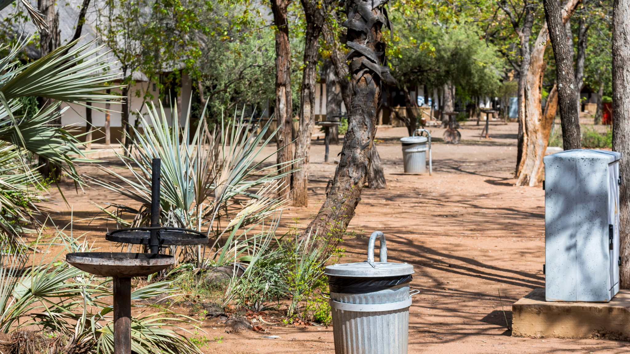 Explore Satara Rest Camp: Gateway to Kruger Wildlife